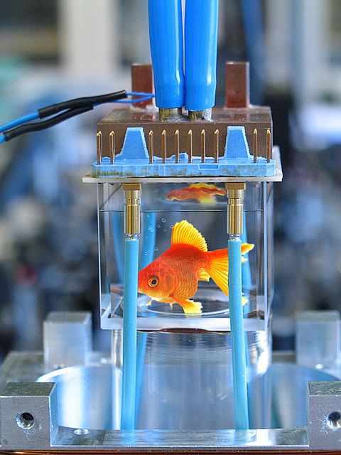 Picture gallery | Quantum Optics Lab | Treutlein group